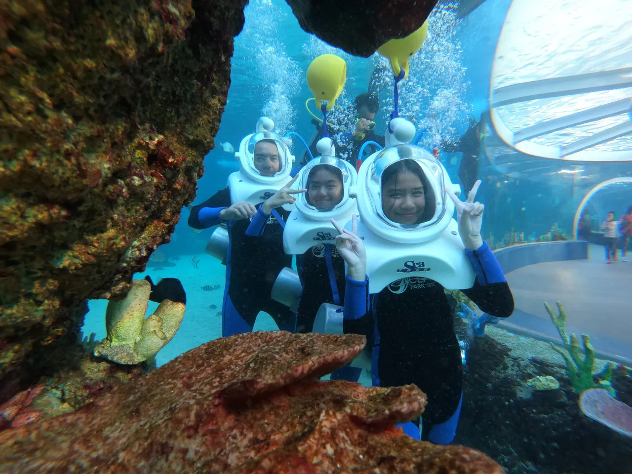 Cebu Ocean Park Ticket - Tiket